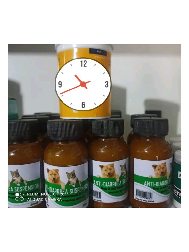 ImageToPDF 20250621 204732 | PDF