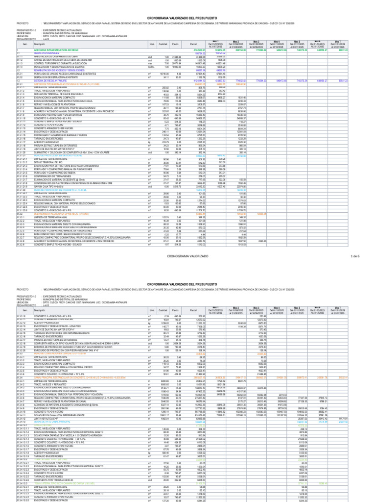 Cronograma Valorizado | PDF | Construyendo tecnología | Física Aplicada e Interdisciplinaria