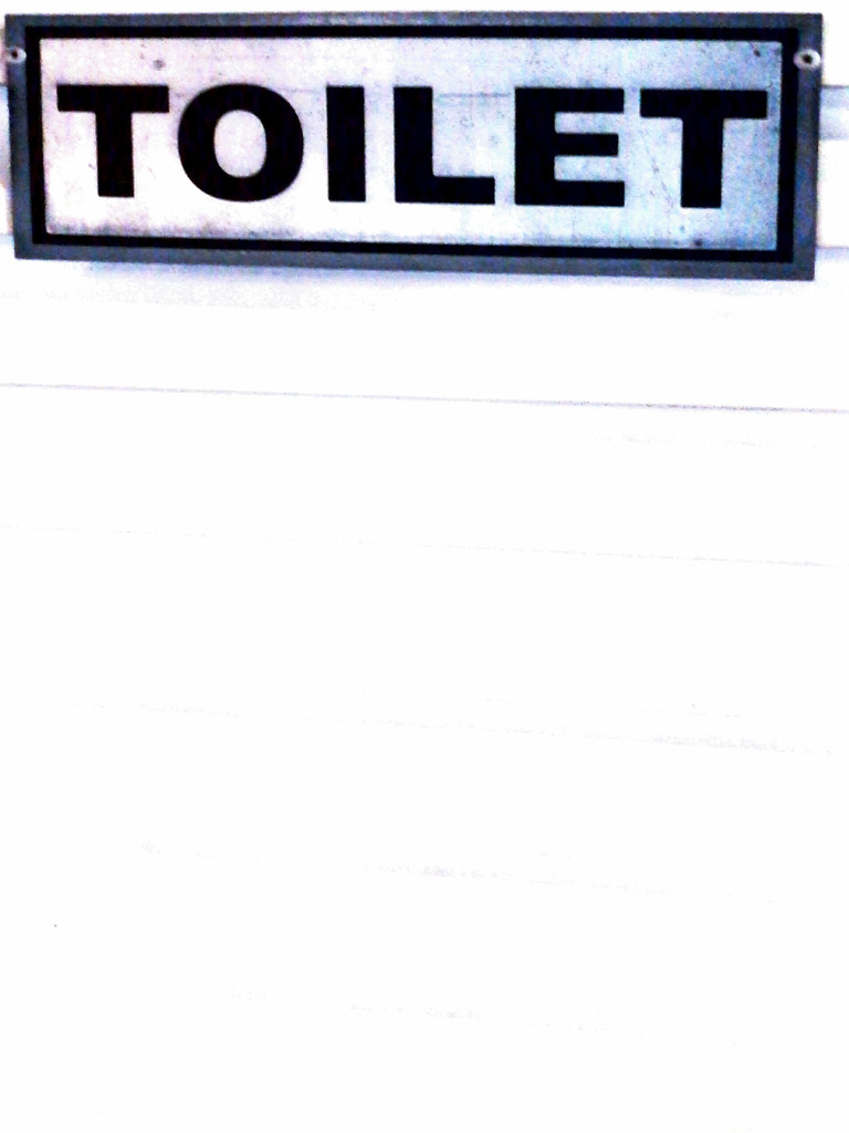 Toilet | PDF