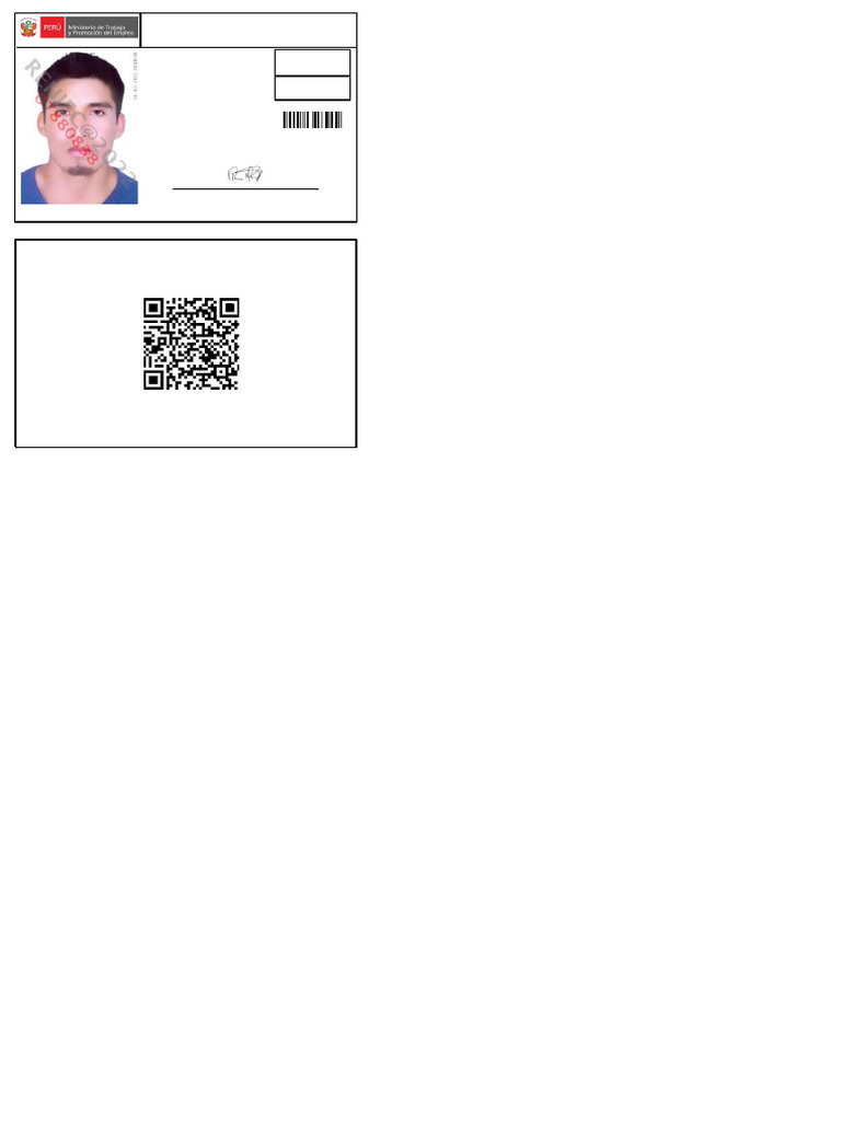 Registro RETCC de Construcción Civil | PDF