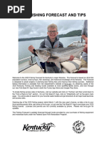 Kentucky Fish Species Guide | PDF | Fish | Aquatic Animals