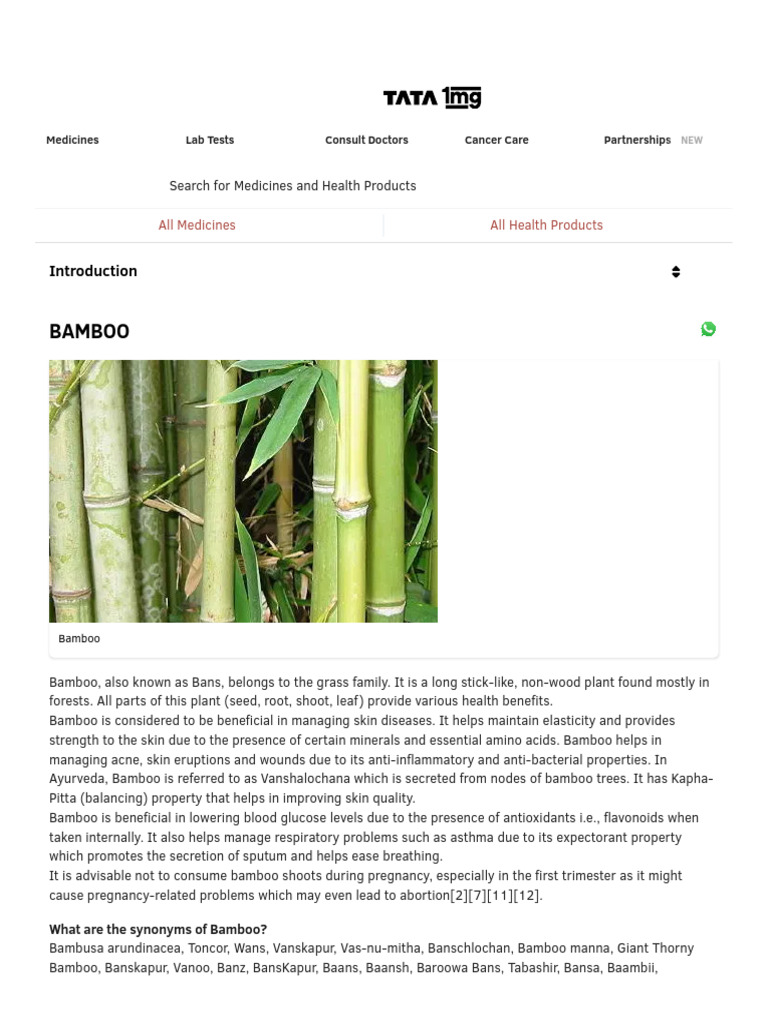 Bamboo - Benefits, Precautions and Dosage | PDF | Ayurveda | Cough
