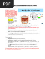 Interpretación de radiografías de cavum | PDF | Enfermedades y ...