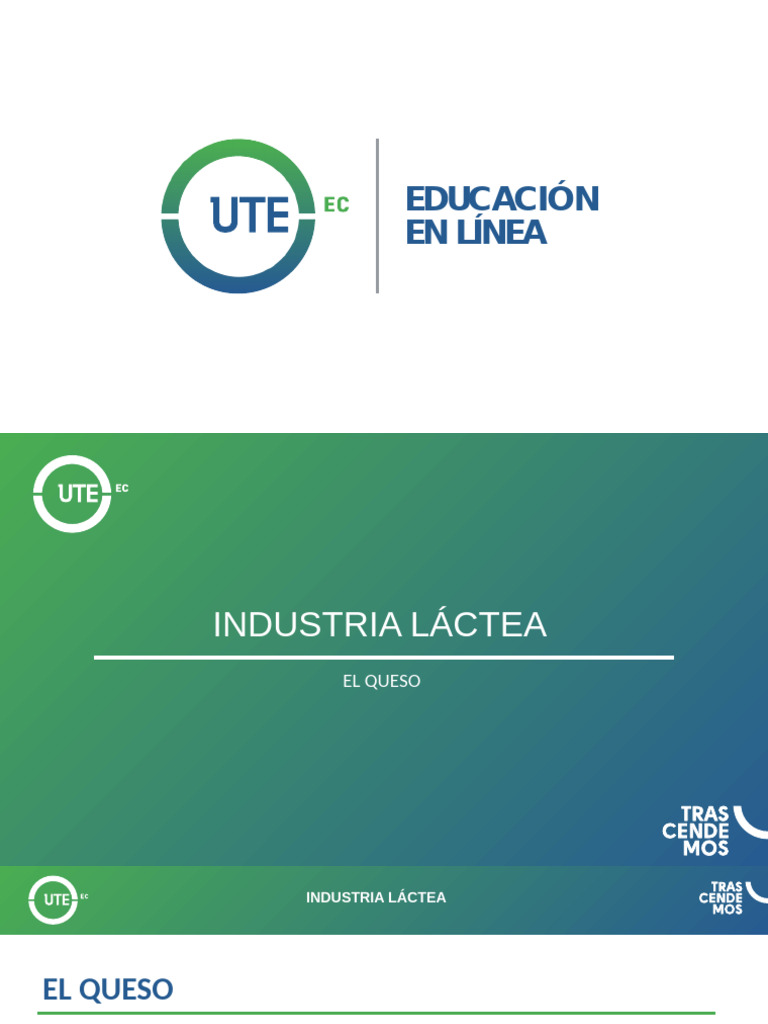El Queso | PDF | Queso | Leche