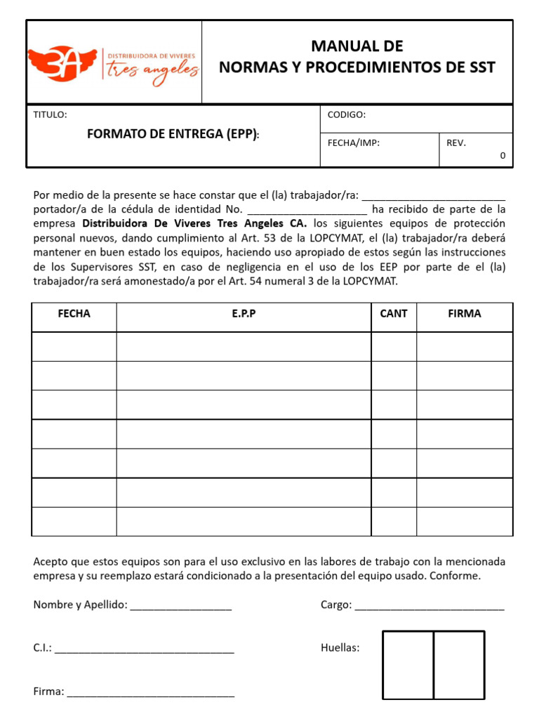 Formato de Entrega Epp | PDF