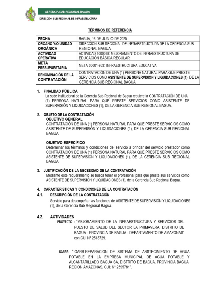 TDR - Asistente Junio 2025 Miguel Diaz | PDF | Propiedad intelectual