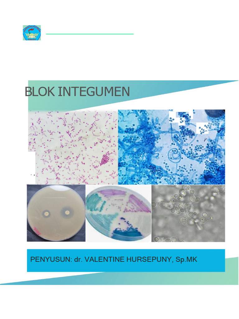 La Muhammad Iqbal Fahrezi LAPRAK PA W | PDF