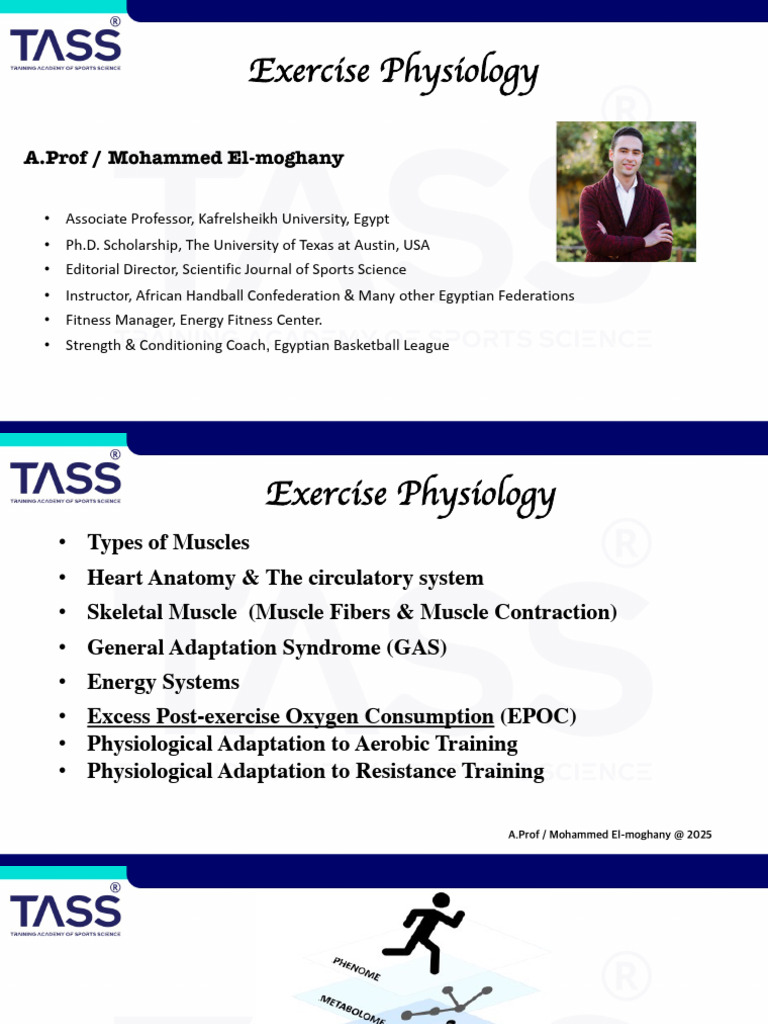 Exercise Physiology Insights by A.Prof El-moghany | PDF | Skeletal ...