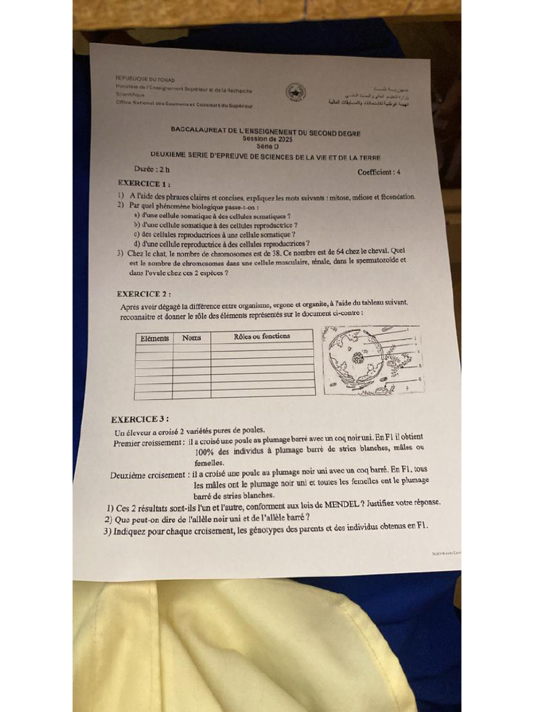 Bac 2 D Tour D'après LEADER | PDF