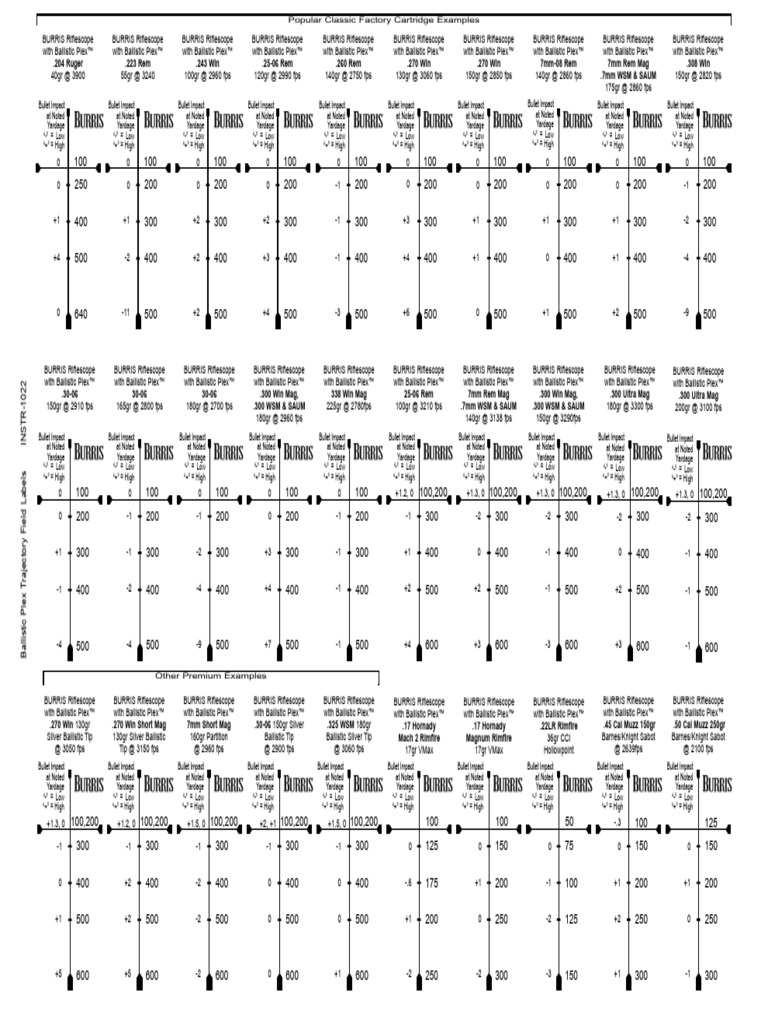 Burris Ballistic Plex | PDF | Projectiles | Flight