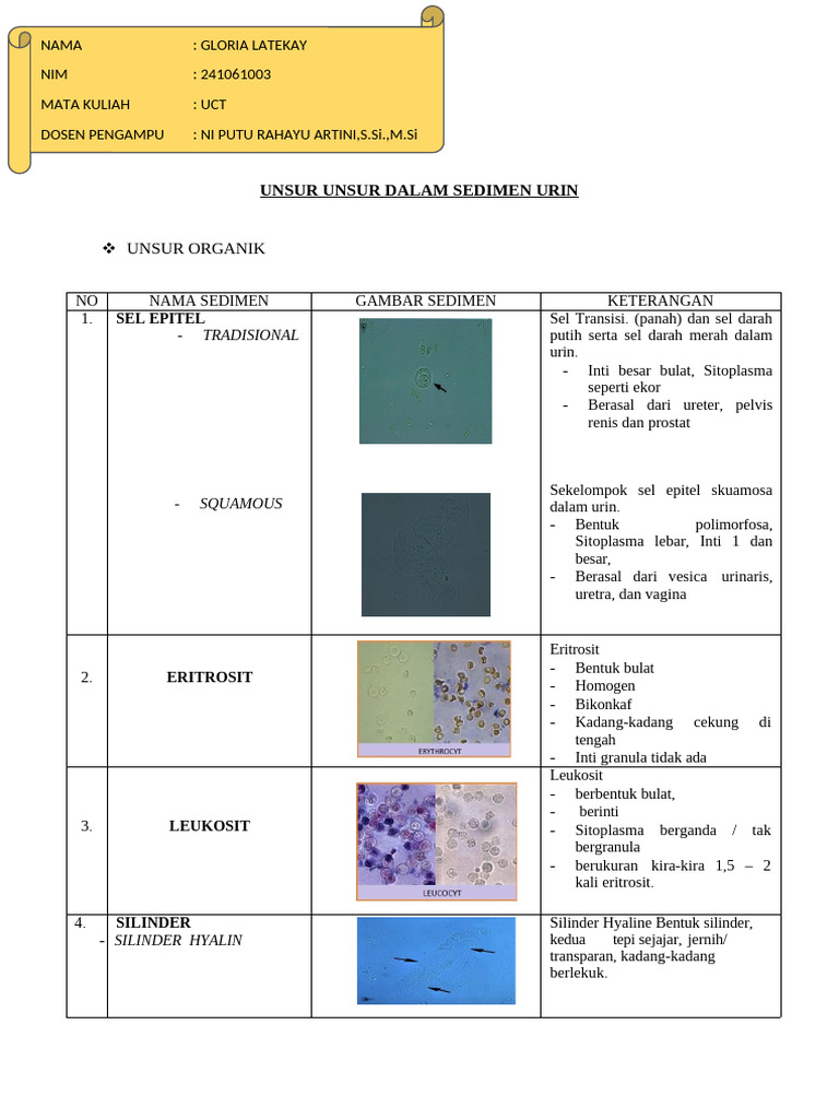Unsur Unsur Dalam Sedimen Urin | PDF