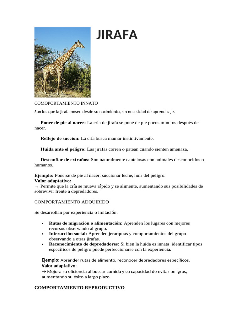 Comoportamiento Innato | PDF | Biología | Zoología