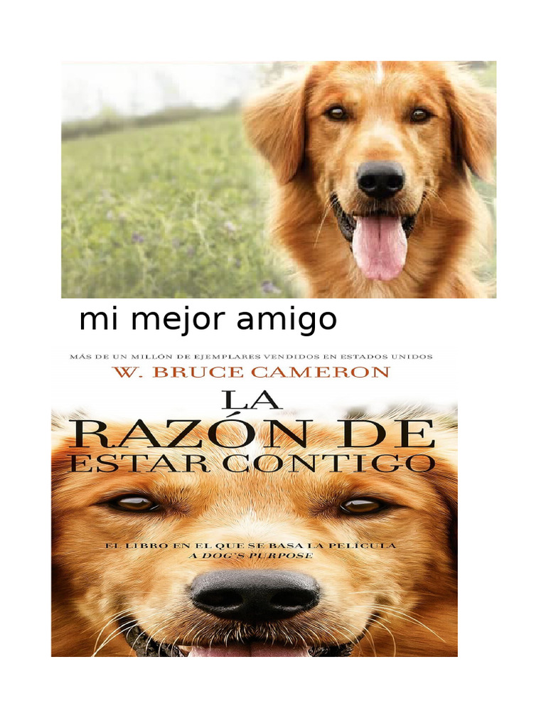 Mi Mejor Amigo | PDF