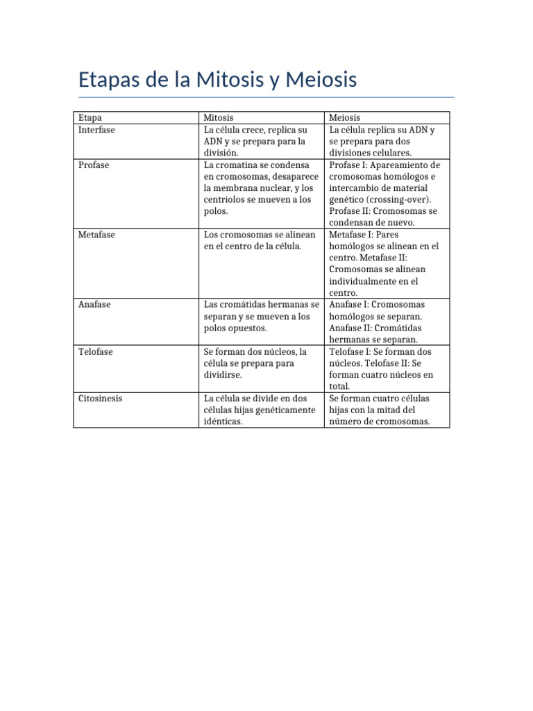 Etapas Mitosis Meiosis | PDF