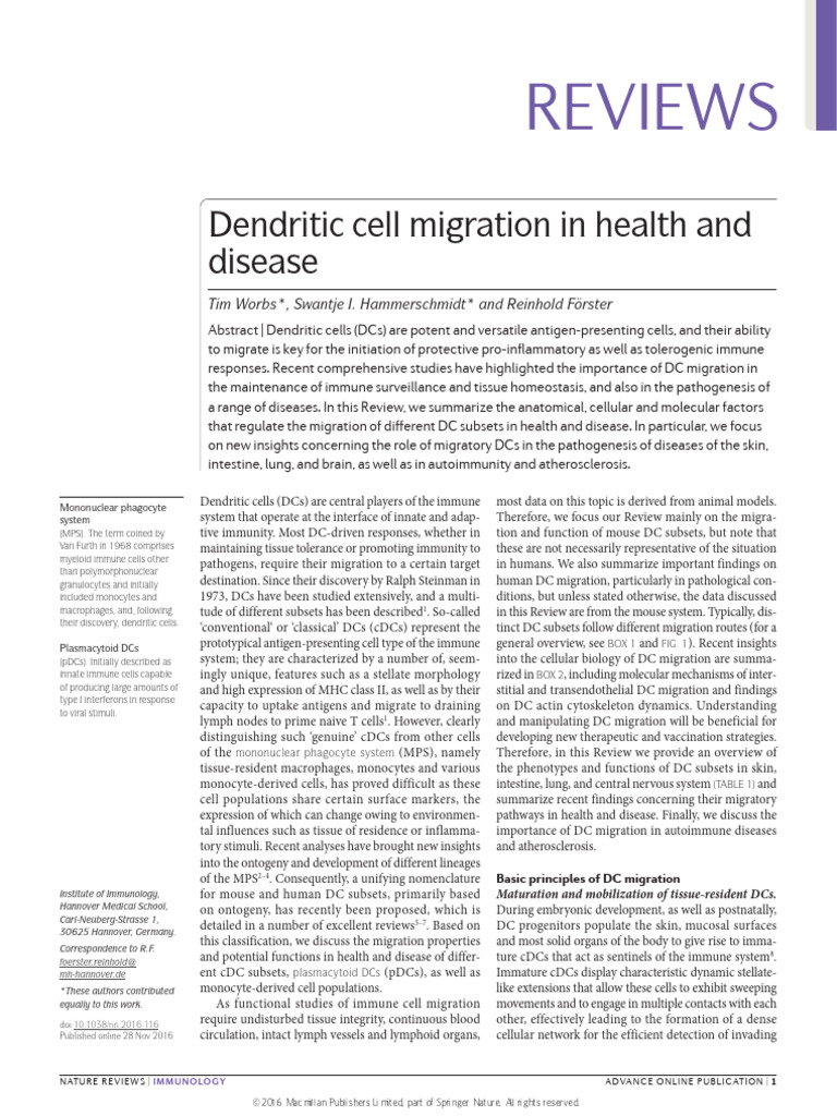 Dendritic Cell Migration in Health and Disease | PDF | Lymphatic System ...