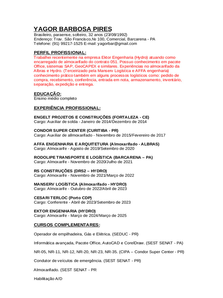 Perfil Profissional de Yagor Pires | PDF