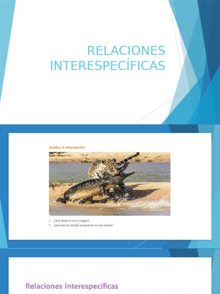 Relaciones Interespecíficas | PDF