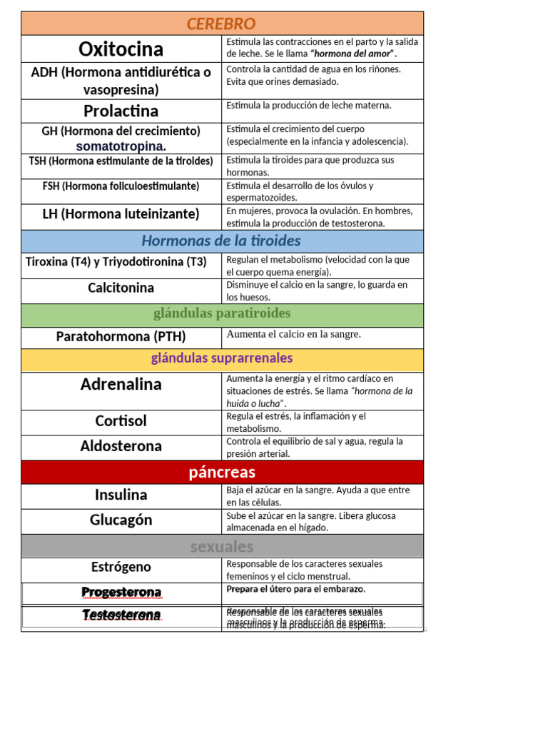 Hormonas y sus funciones en el cuerpo | PDF | Hormona | Hormona ...