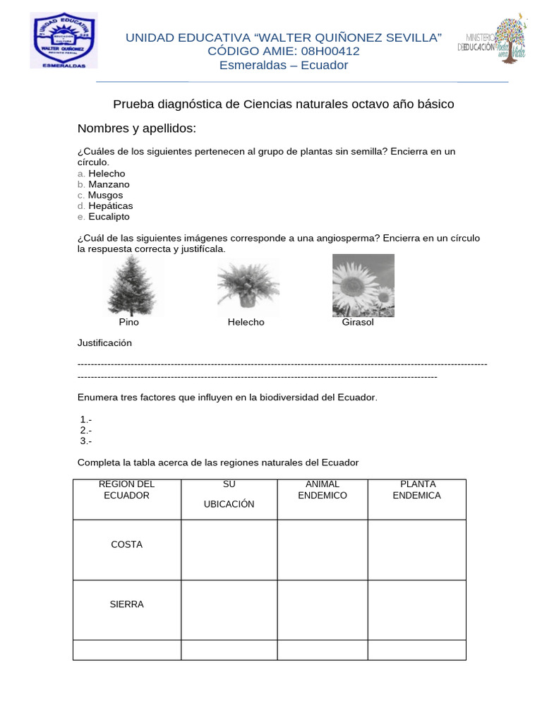 Prueba Diagnostica 8vo-9no. | PDF | Organismos | Biología Celular)