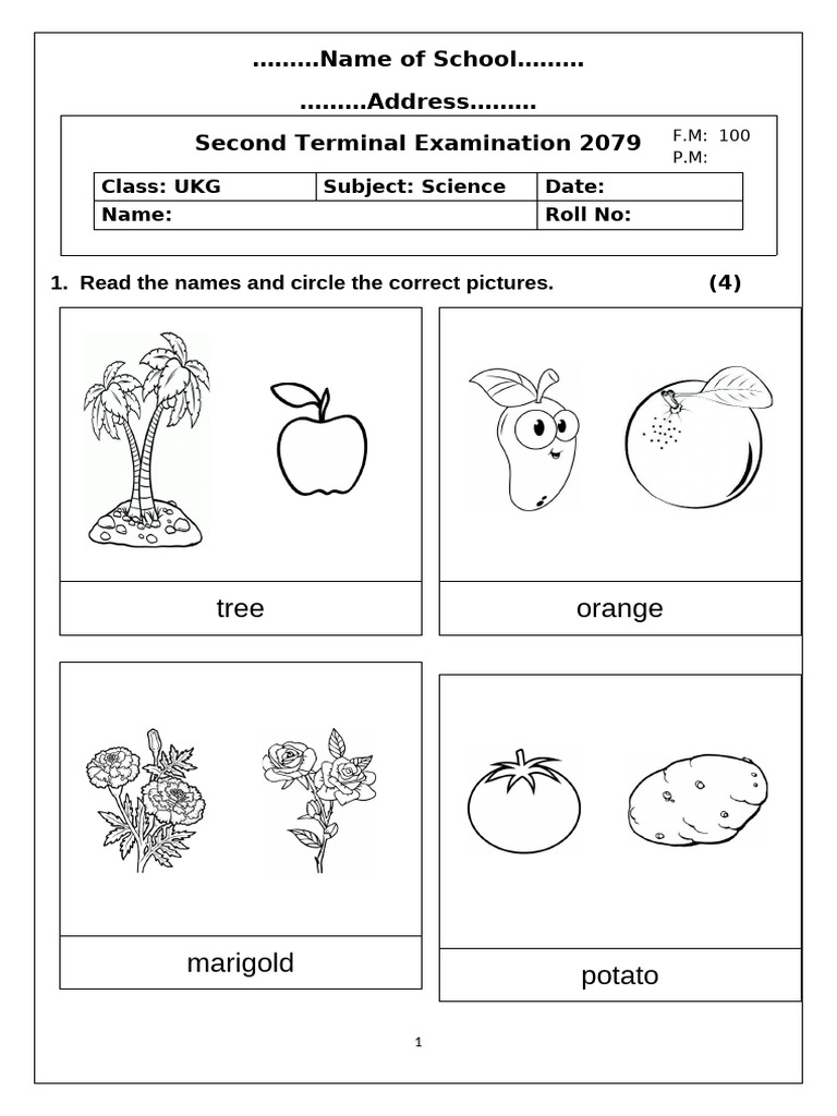 UKG Science 2nd Term 2079 | PDF | Fruit | Plants
