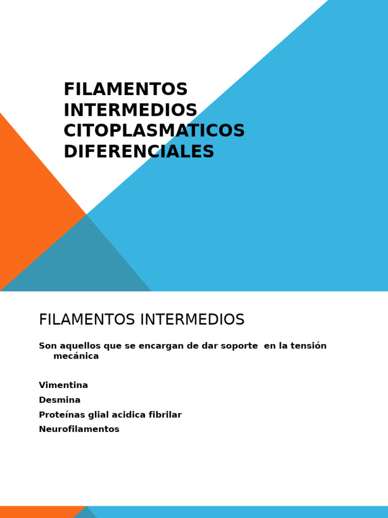 Filamentos Intermedios Citoplasmaticos Diferenciales | PDF | Nucleo ...