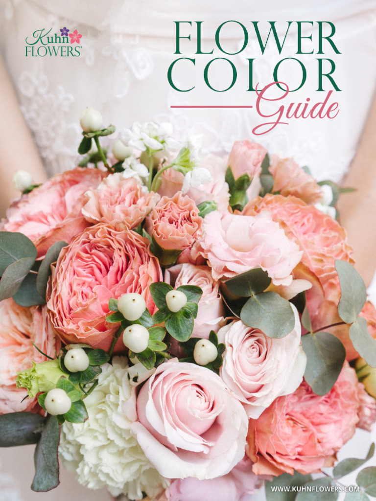 Flower Color Guide Cattleya Kuhn Web | PDF | Flower Bouquet