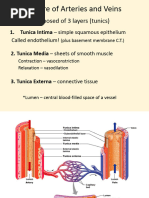 Ecg Interpretation J Point Stemi Criteria Equivalents and Others | PDF ...