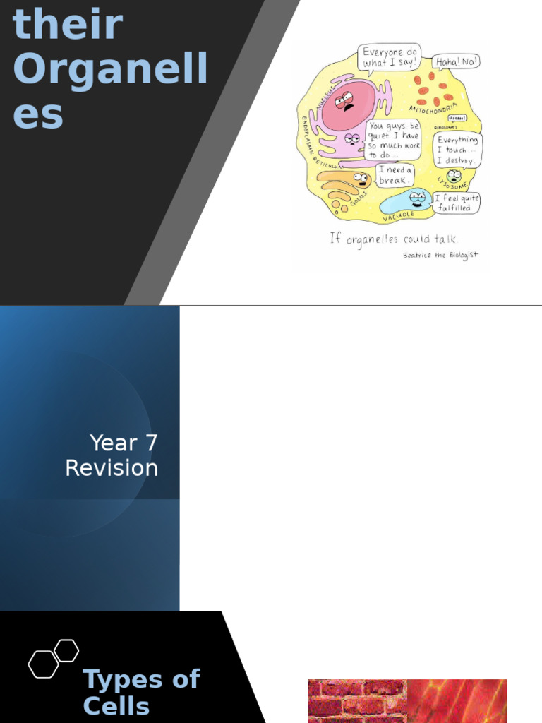 Types of Cells and Organelles Explained | PDF | Cell (Biology) | Organelle