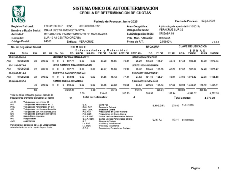 CEDULA SUA IMSS | PDF | Economias | Labor