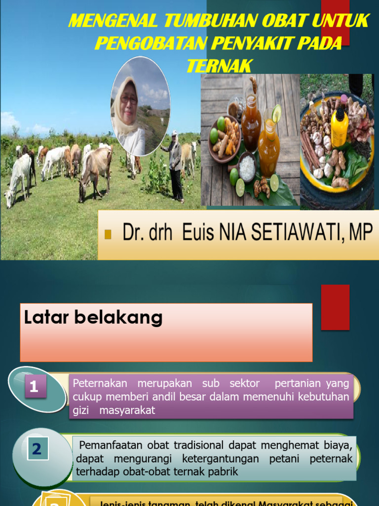 Tanaman Obat untuk Kesehatan Ternak | PDF