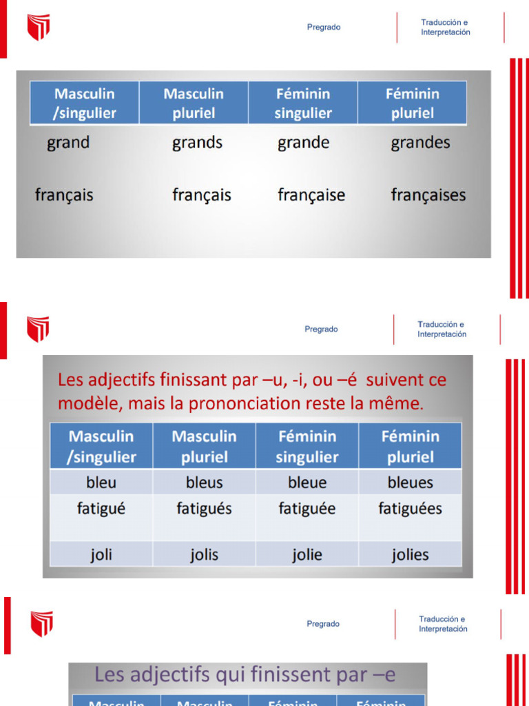 Les Adjectifs - Genre Et Nombre - Place | PDF