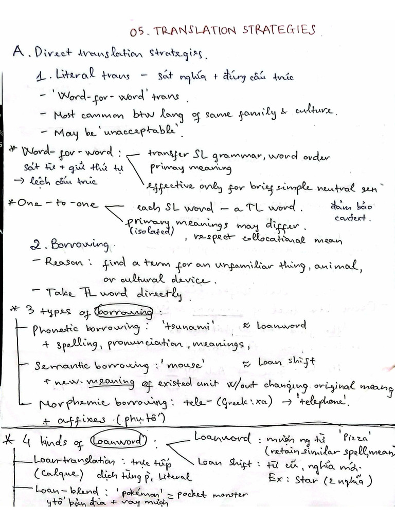 Translation Strategies 1 | PDF