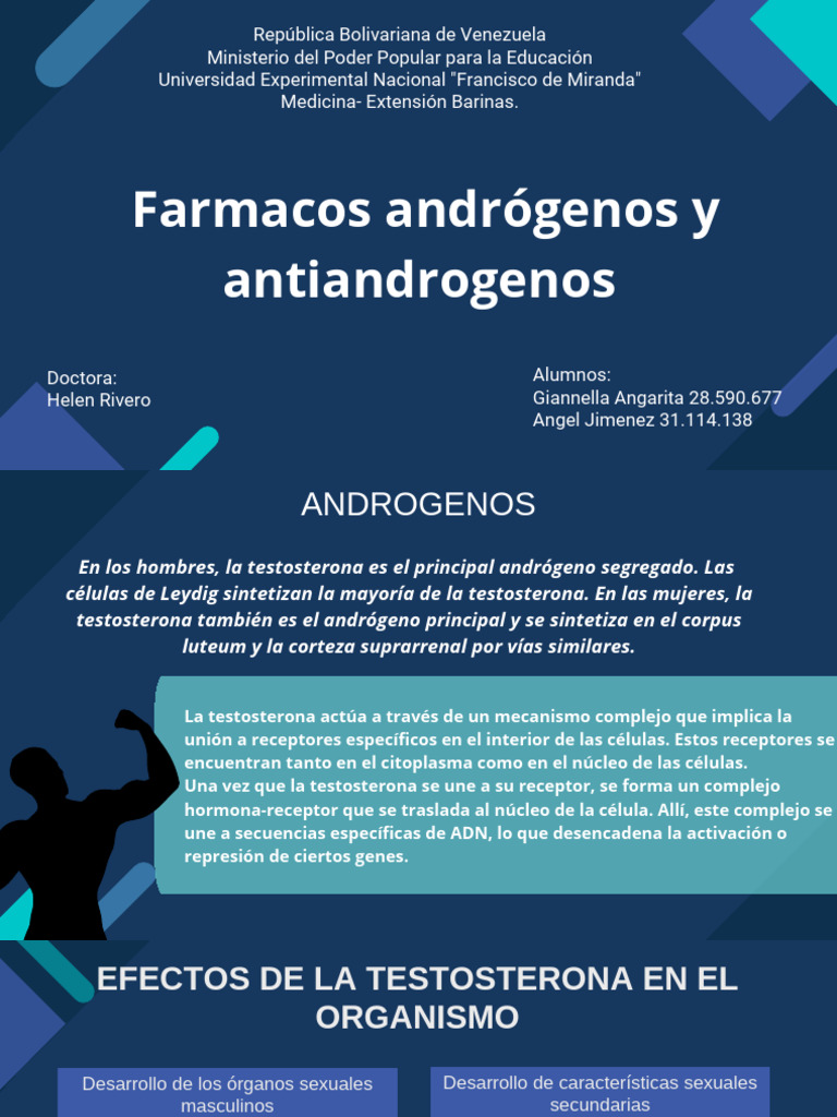 Andrógenos y Antiandrogenos - 20250219 - 212641 - 0000 | PDF ...