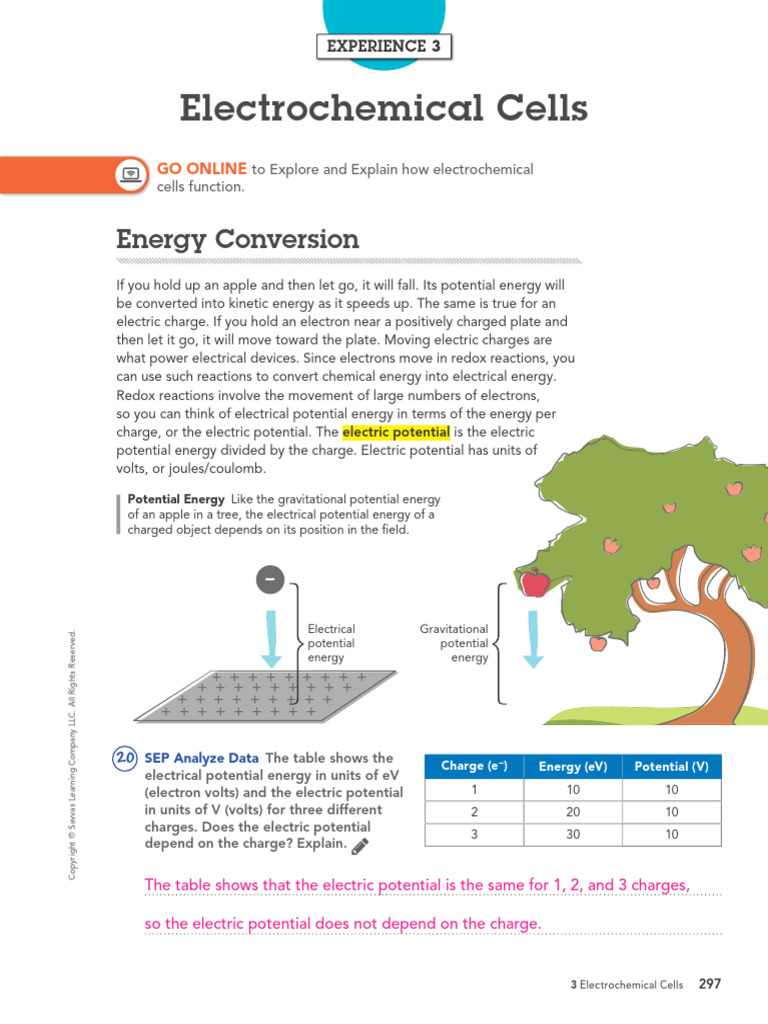 Annotated Experience Notebook - Electrochemical Cells | PDF | Redox | Electrochemistry