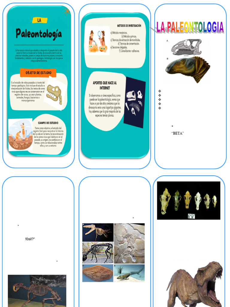 Triptico Dinosaurios | PDF | Fósil | Dinosaurios