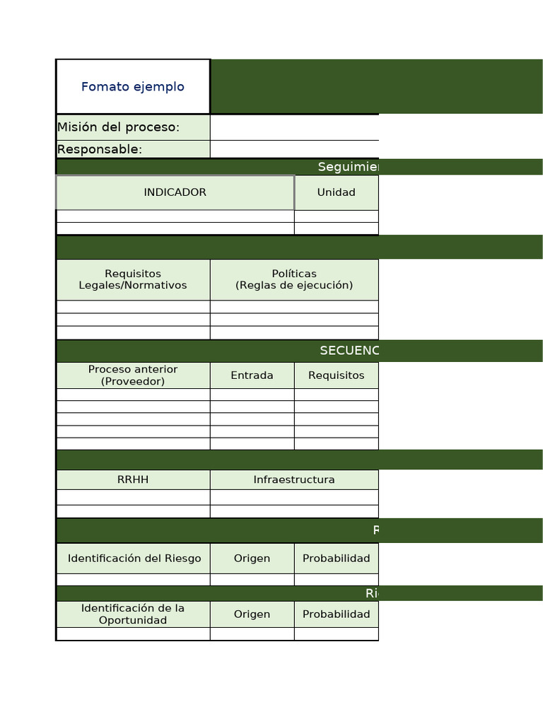 Ficha de Proceso: Formato Word | PDF