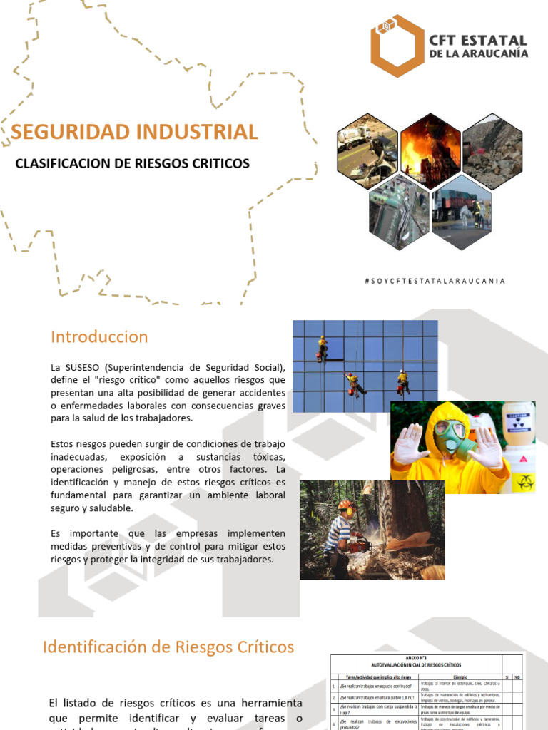 Riesgos Criticos | PDF | Valores | Riesgo