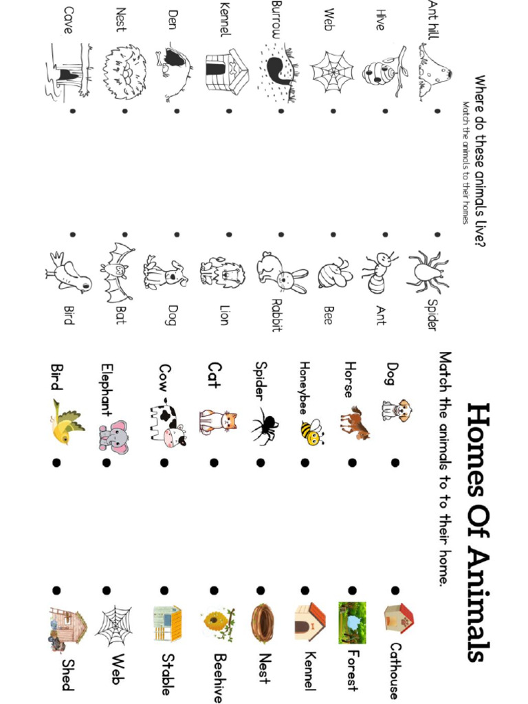 Animals and Their Home | PDF