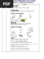 Animals Year 4 | PDF