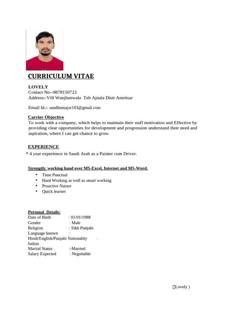 Painter and Driver CV of Lovely | PDF
