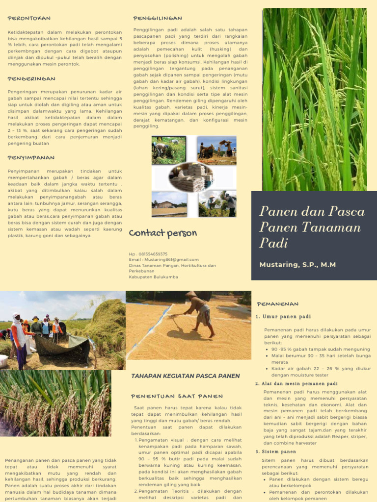 Panen Pasca Panen | PDF