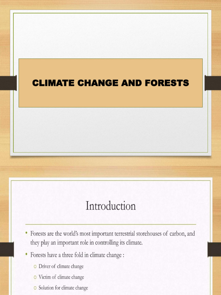 Climate Change and Forests | PDF