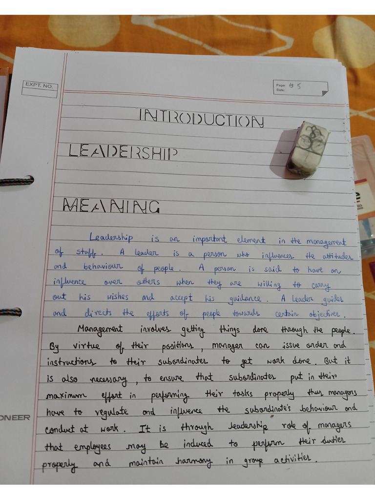 Business Studies Project 1 and 2 | PDF
