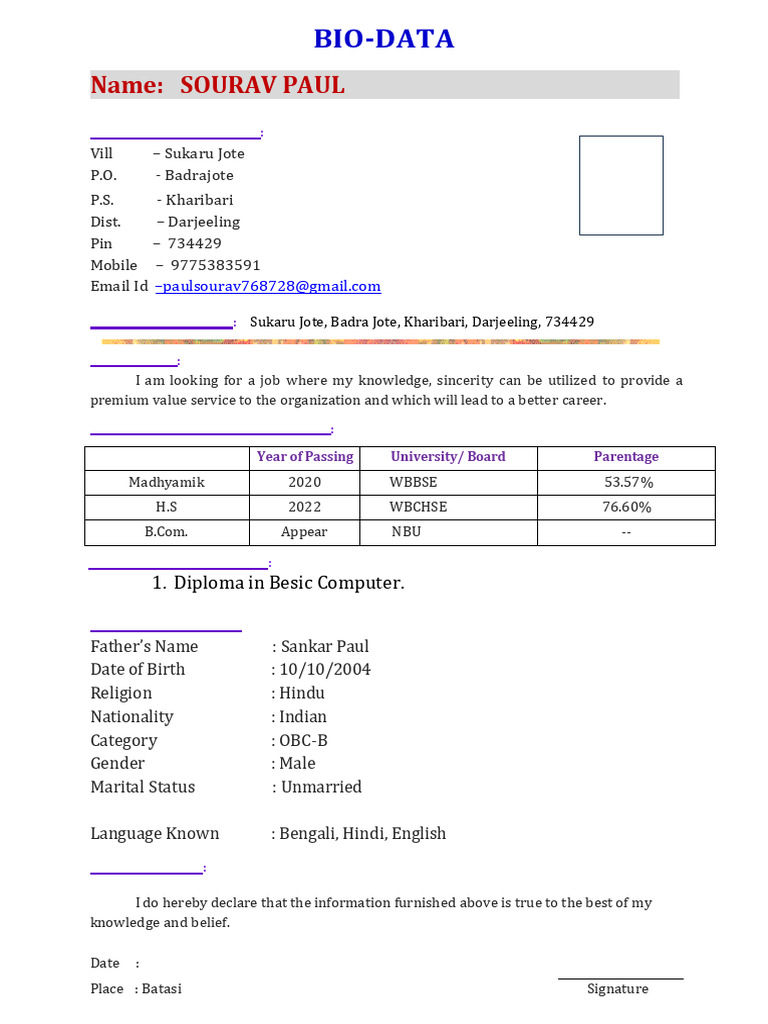 Biodata Dulal | PDF