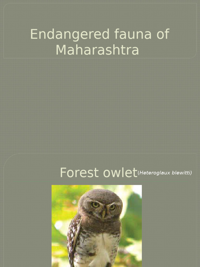 Endangered Fauna of Maharashtra | PDF