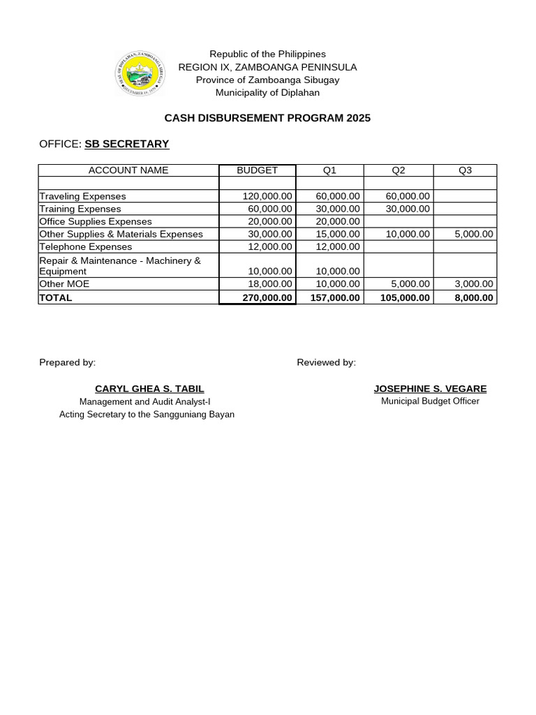 Cash Disbursement Program | PDF