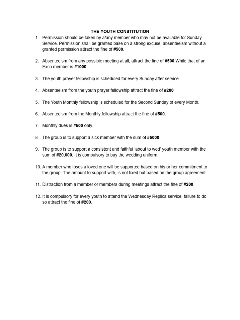Youth Constitution: Attendance & Fines | PDF