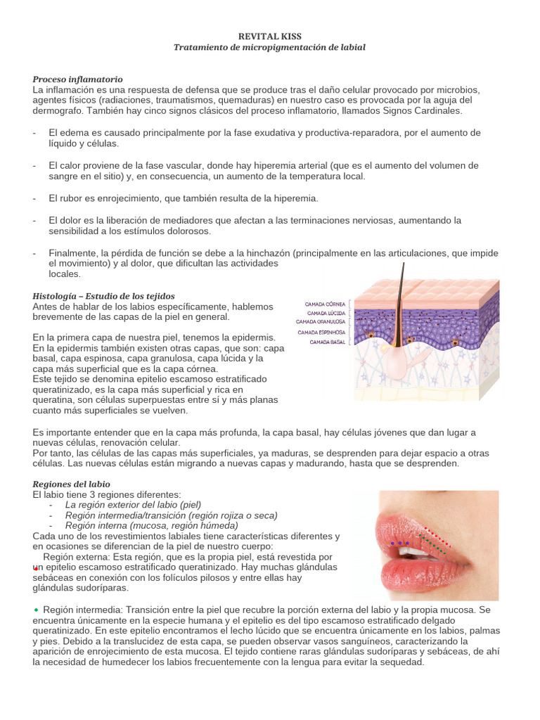 Micropigmentación Labial: Proceso y Técnicas | PDF | Inflamación ...
