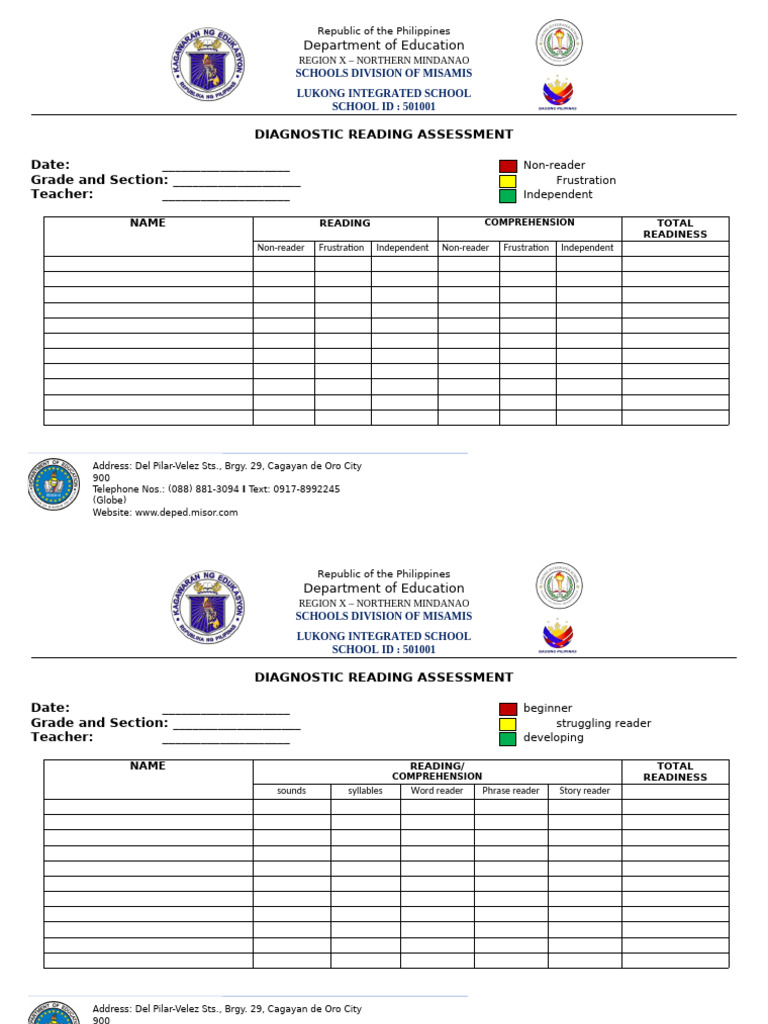 Literacy and Numeracy Assessment Report | PDF | Reading Comprehension ...