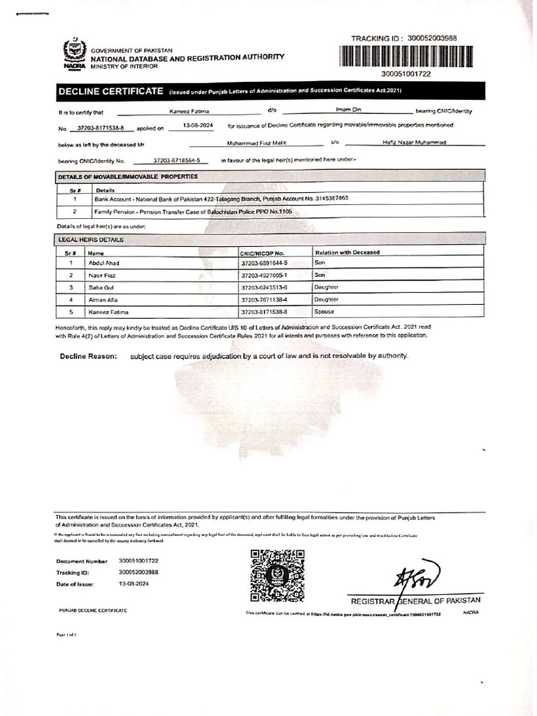 Document v1 | PDF